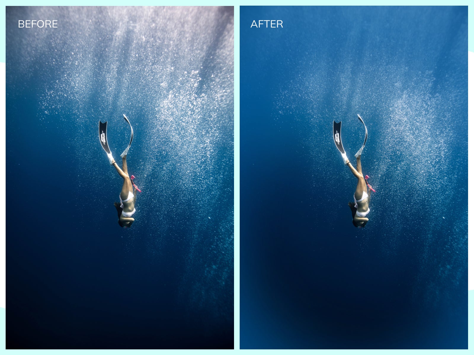 6 Ways to Add a Blur to Your Photo | Learn BeFunky