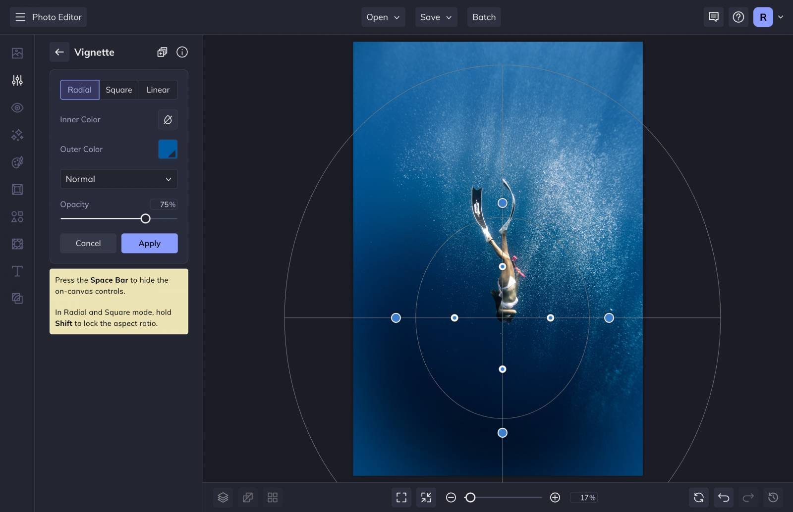 6 Ways to Add a Blur to Your Photo | Learn BeFunky