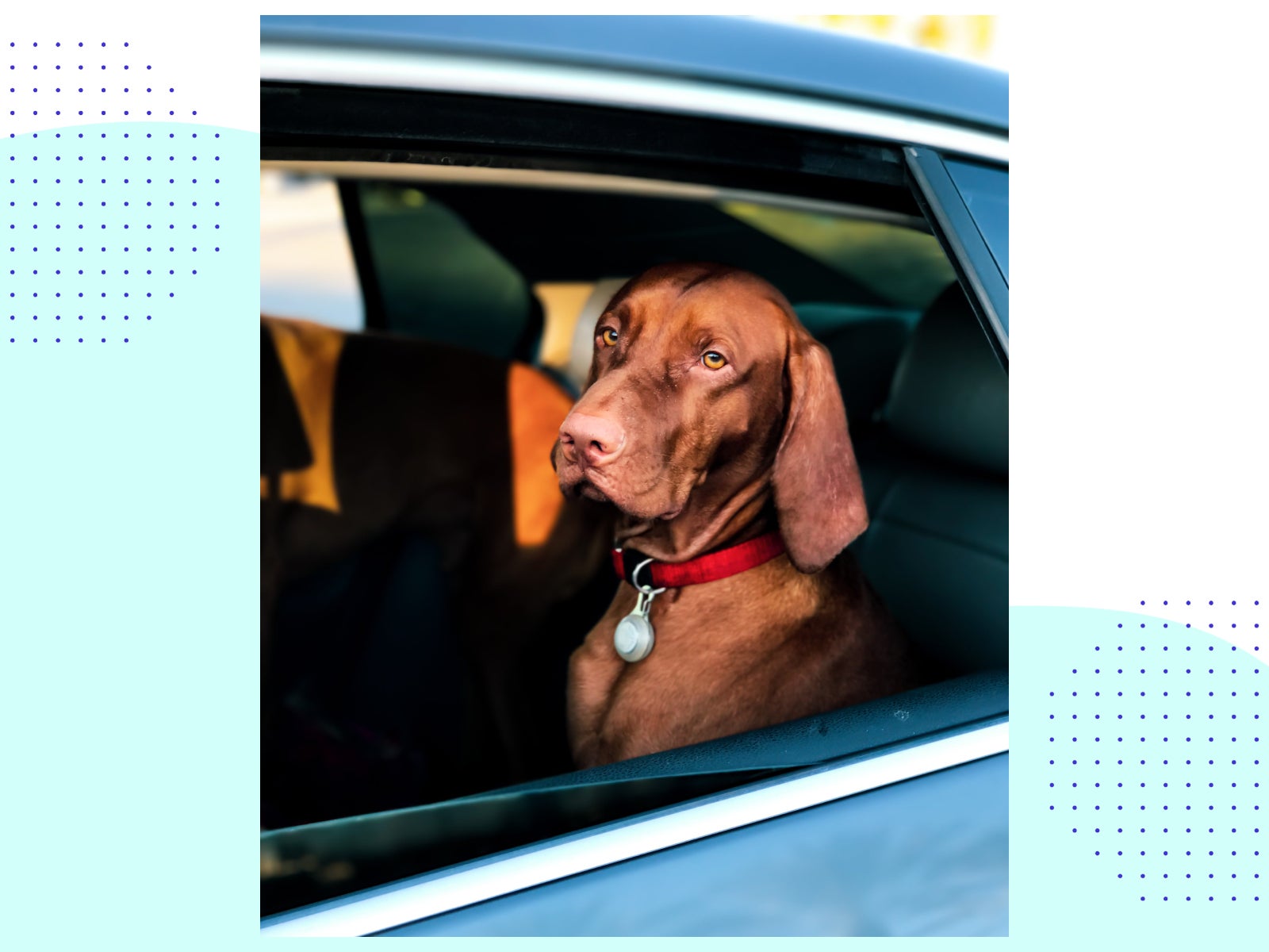 6 Ways to Add a Blur to Your Photo | Learn BeFunky