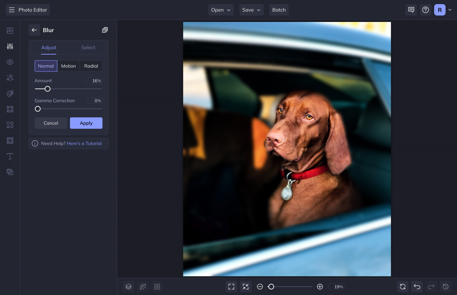 6 Ways to Add a Blur to Your Photo | Learn BeFunky