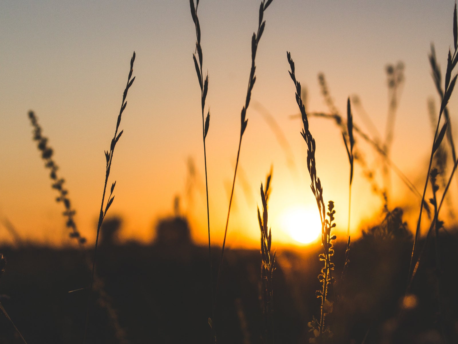 A Guide for Creating Digital Blue and Golden Hour Photos | Learn BeFunky