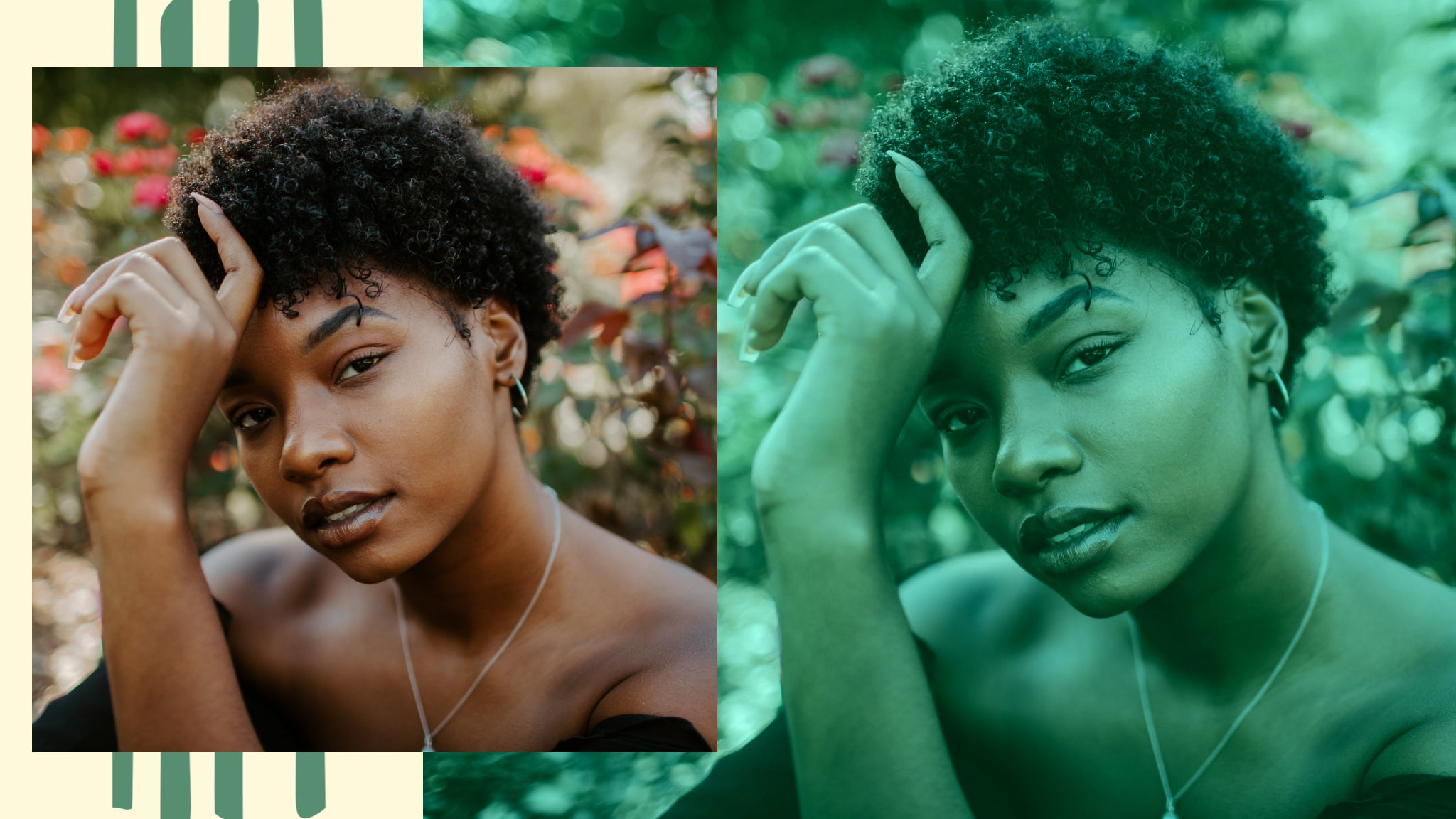 Tint Images Online for a Dynamic New Look | Learn BeFunky