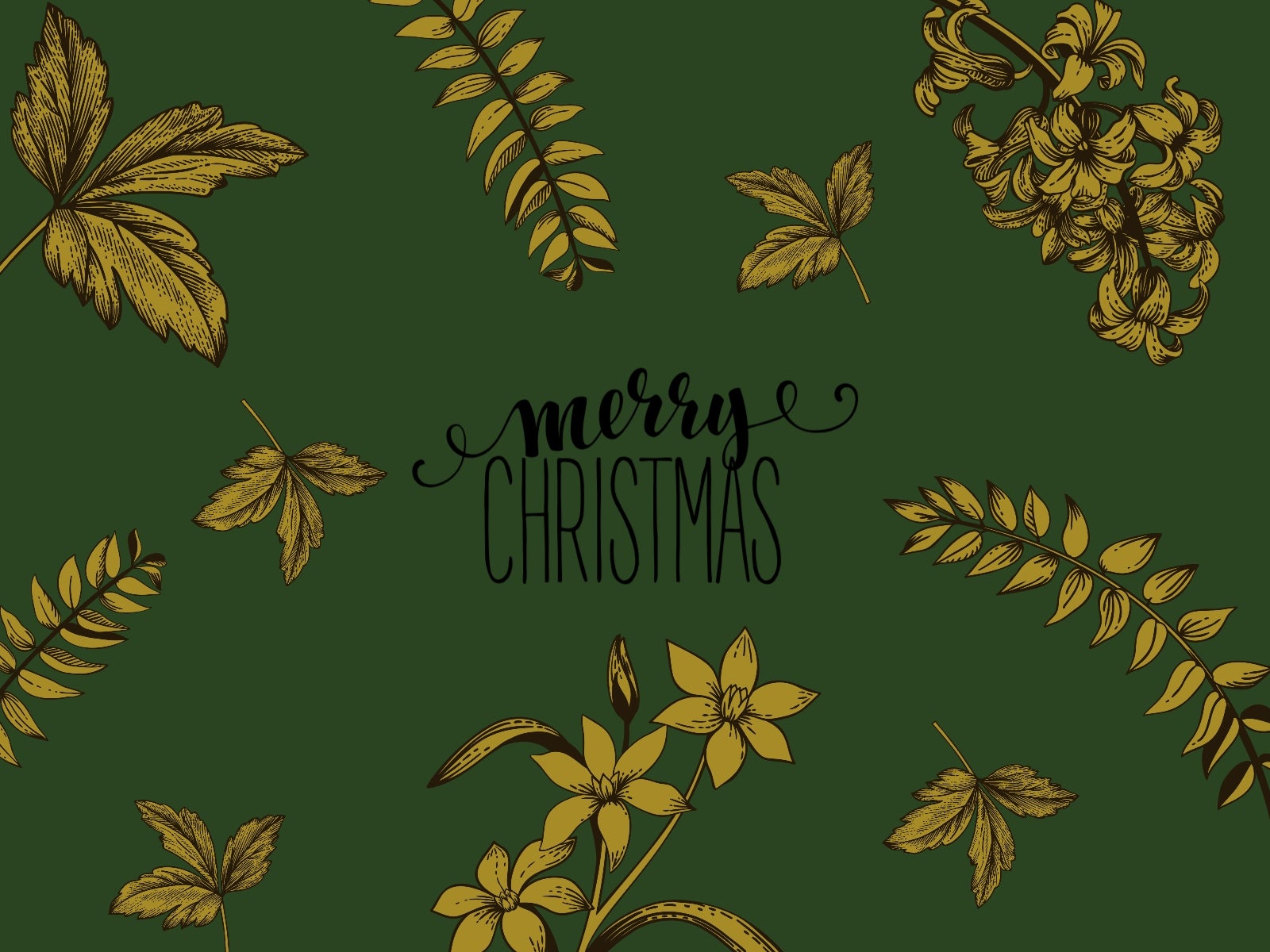 DIY Christmas Gift Wrap in Minutes | Learn BeFunky