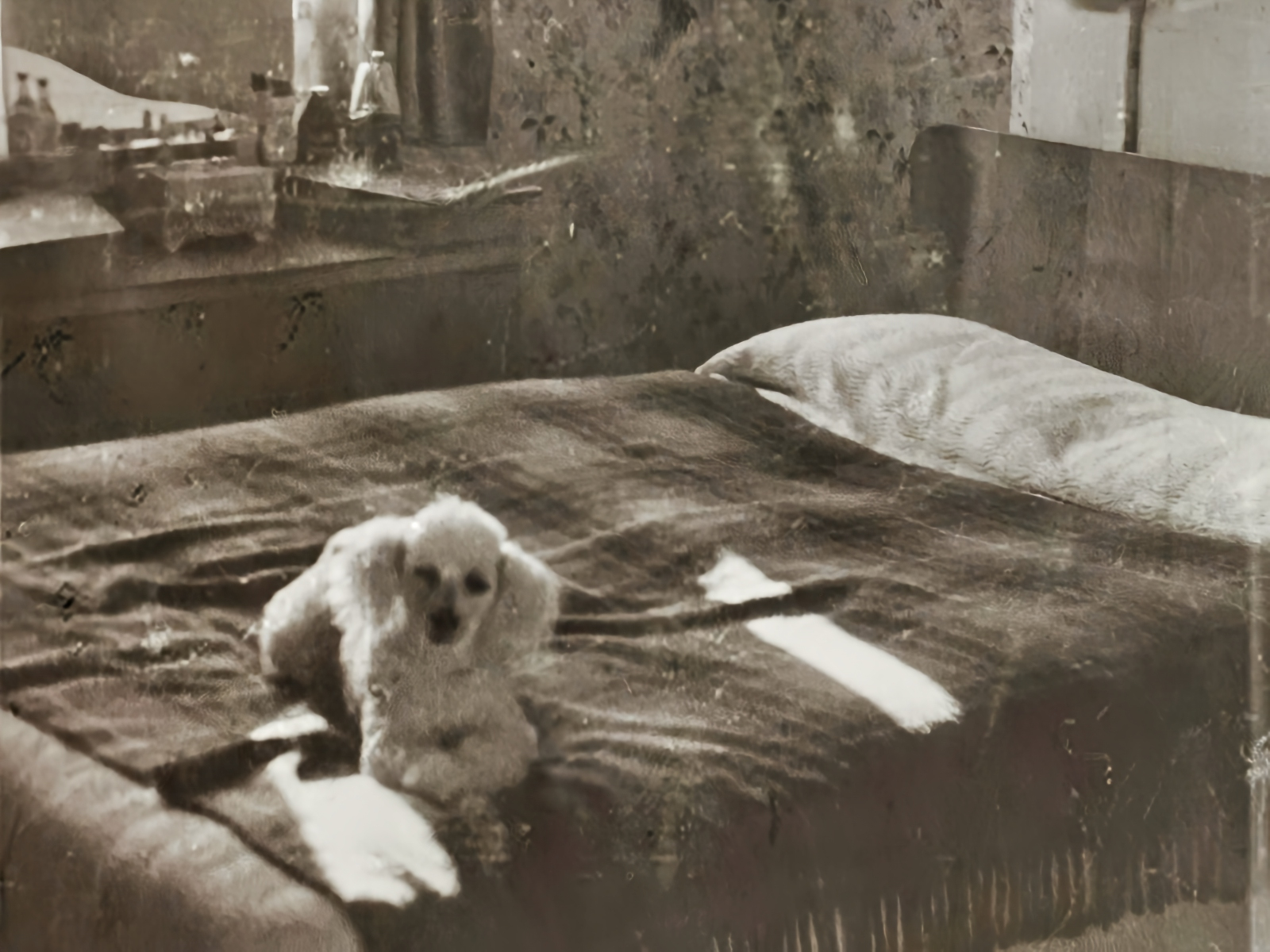 Repair Old Sun-Damaged and Scratched Images With AI | Learn BeFunky