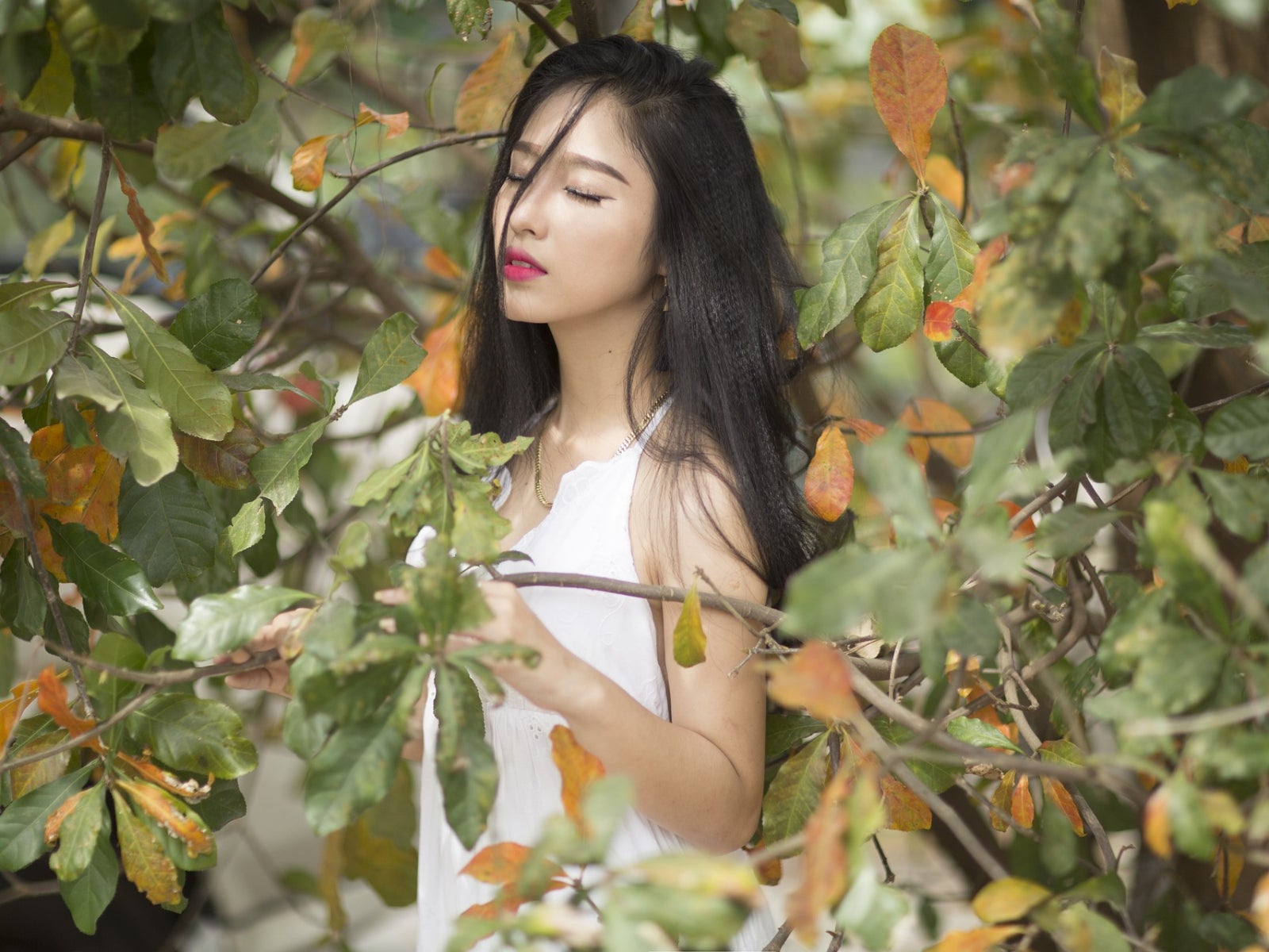 Chromatic Aberration 101: A Quick Guide to Vibrant Chromatic Effects ...