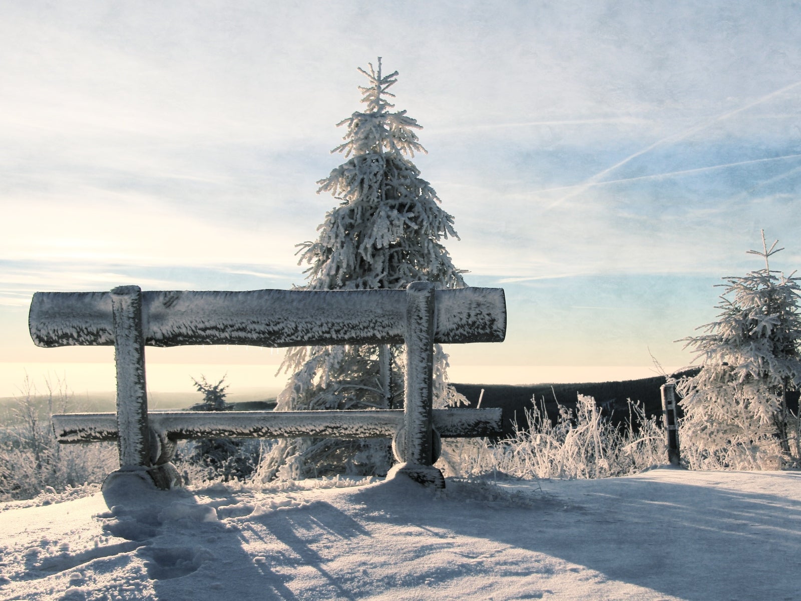 Capture the Chill: 5 Winter-Enhancing Photo Edits | Learn BeFunky