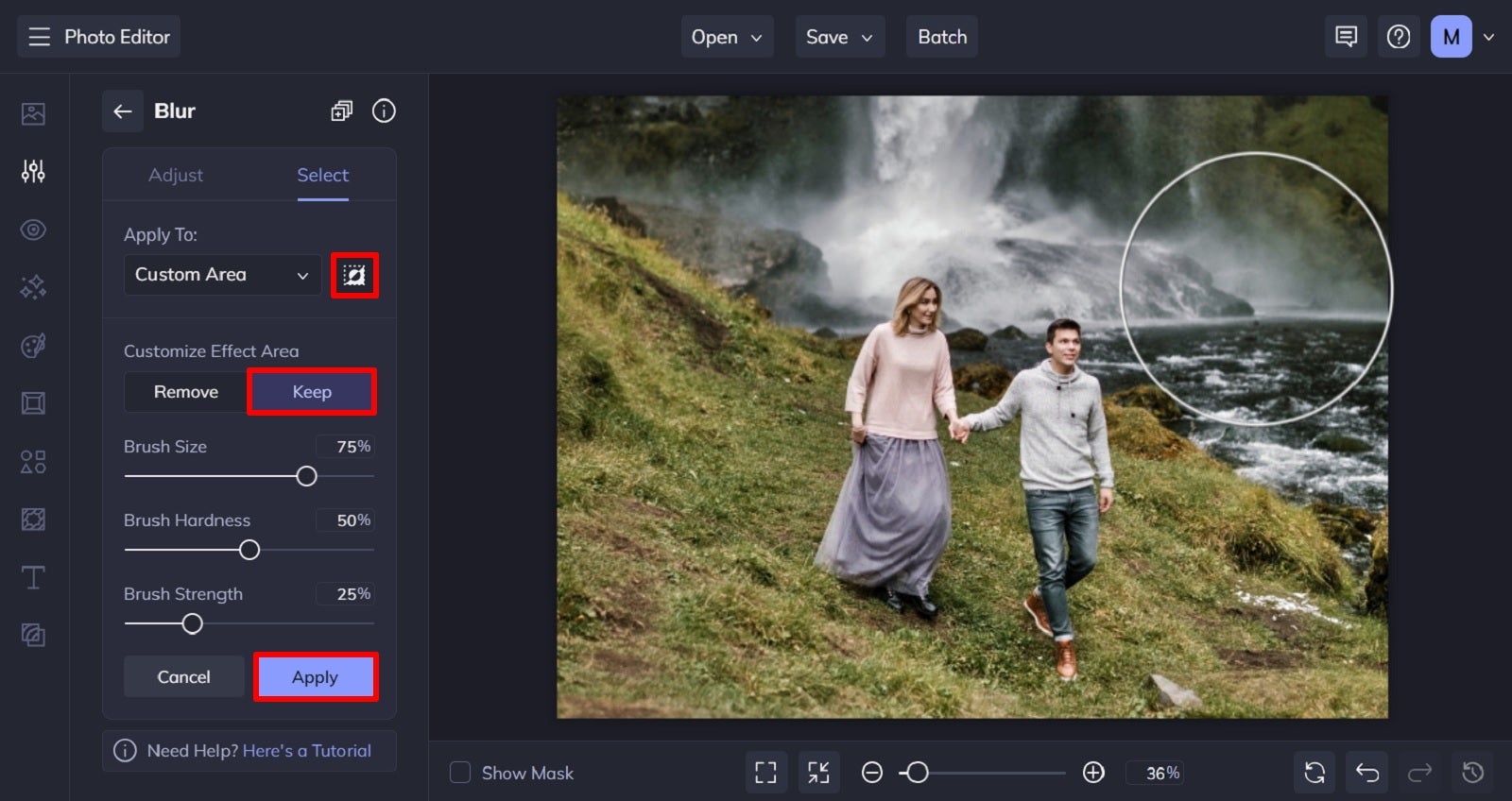 Blur Images and Create Depth of Field With the Blur Tool | Learn BeFunky
