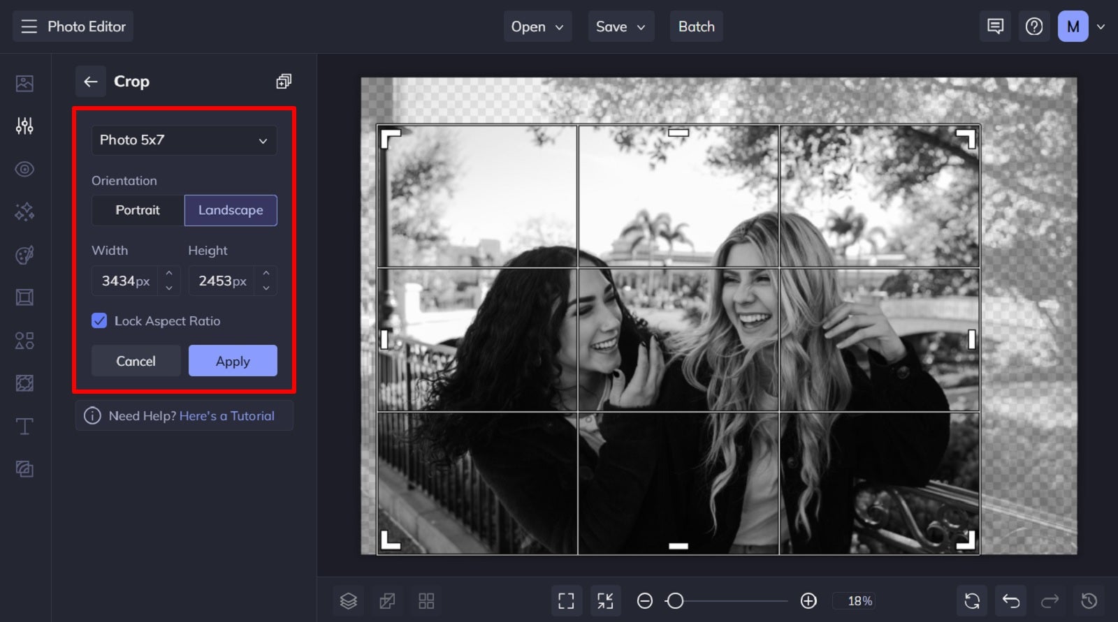 How to Add a Matte Photo Border to Your Image | Learn BeFunky