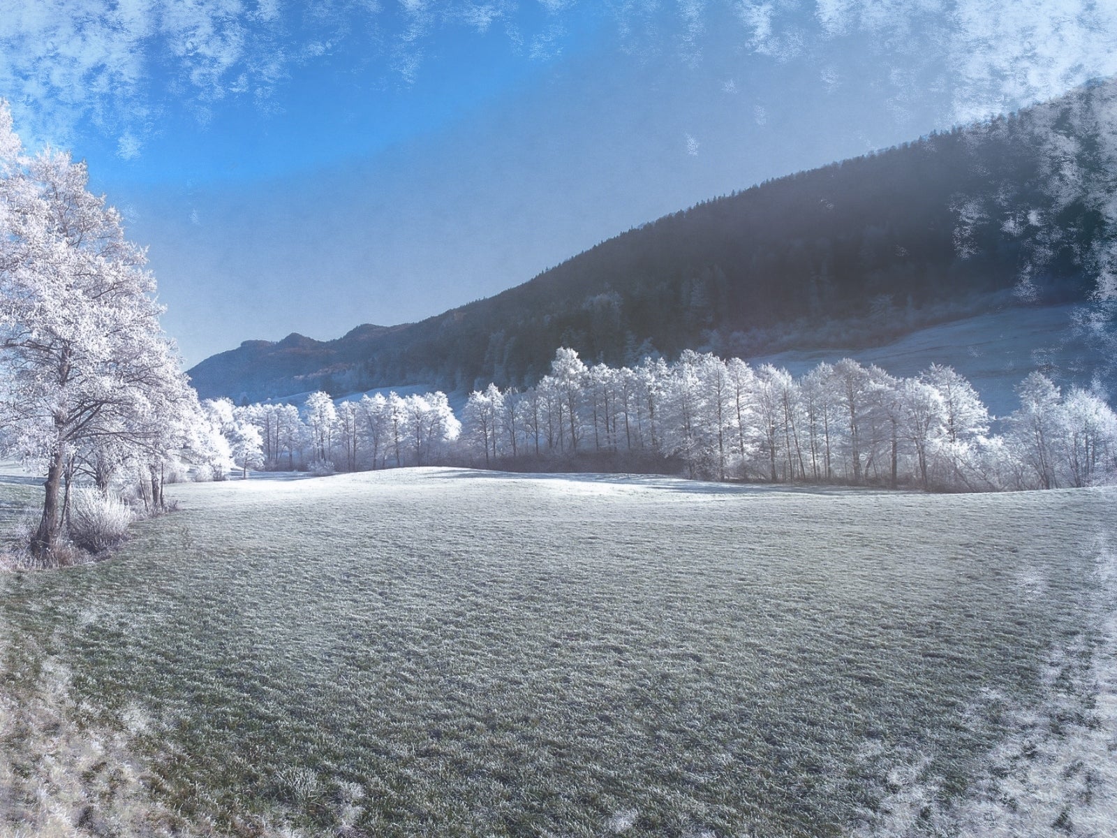 Capture the Chill: 5 Winter-Enhancing Photo Edits | Learn BeFunky