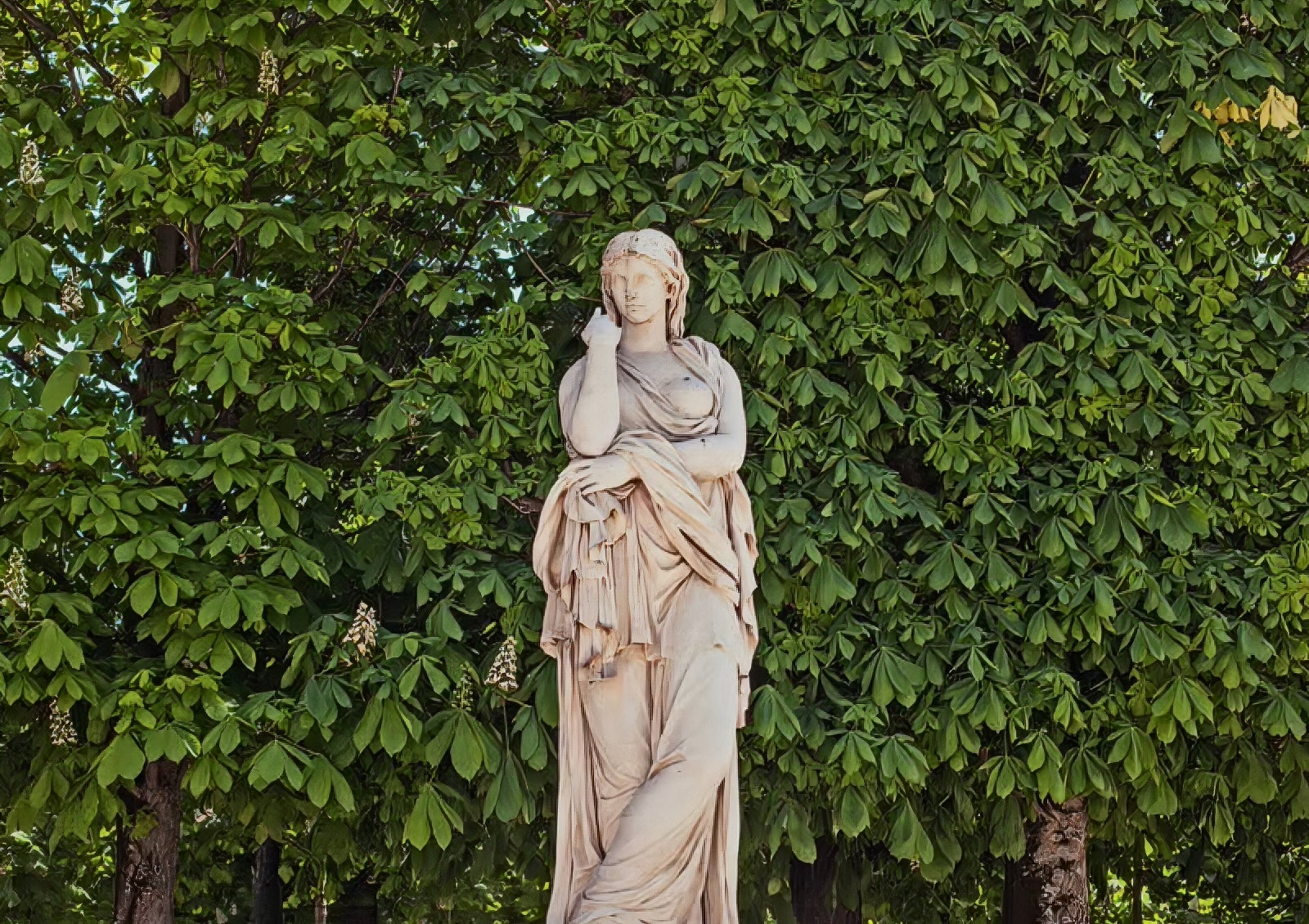 Learn the Basics of Detail Enhancement in BeFunky’s Photo Editor ...