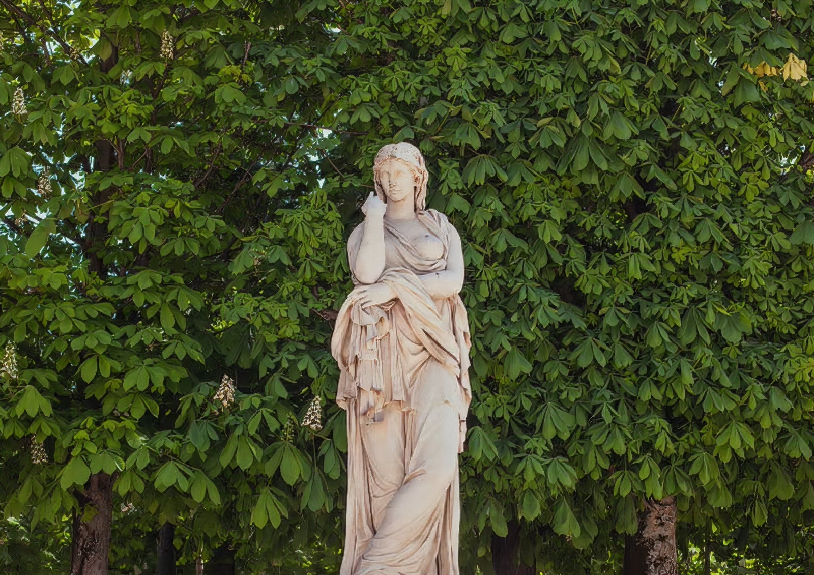 Learn the Basics of Detail Enhancement in BeFunky’s Photo Editor ...