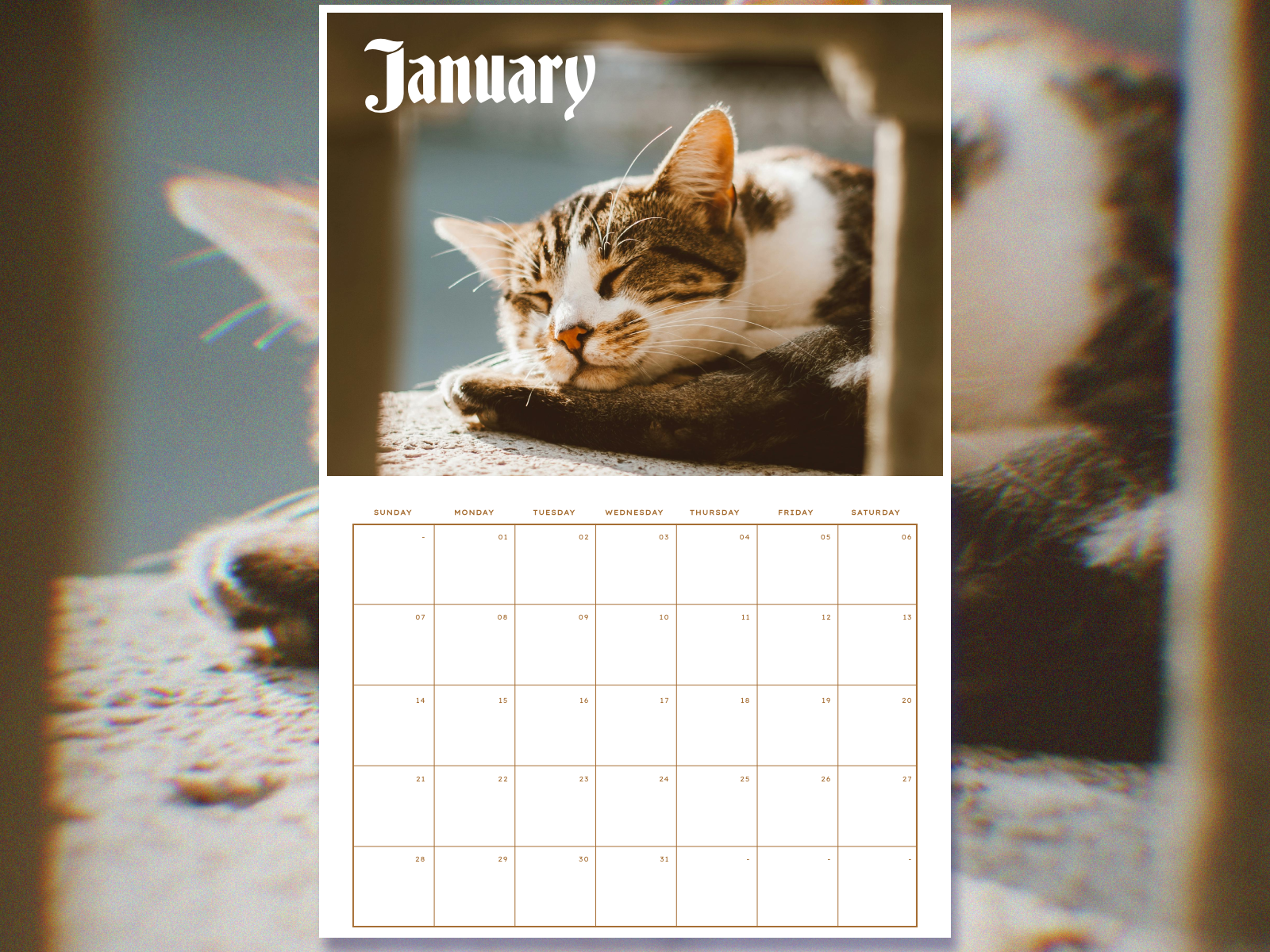 How to Make a Customized Printable Calendar | Learn BeFunky