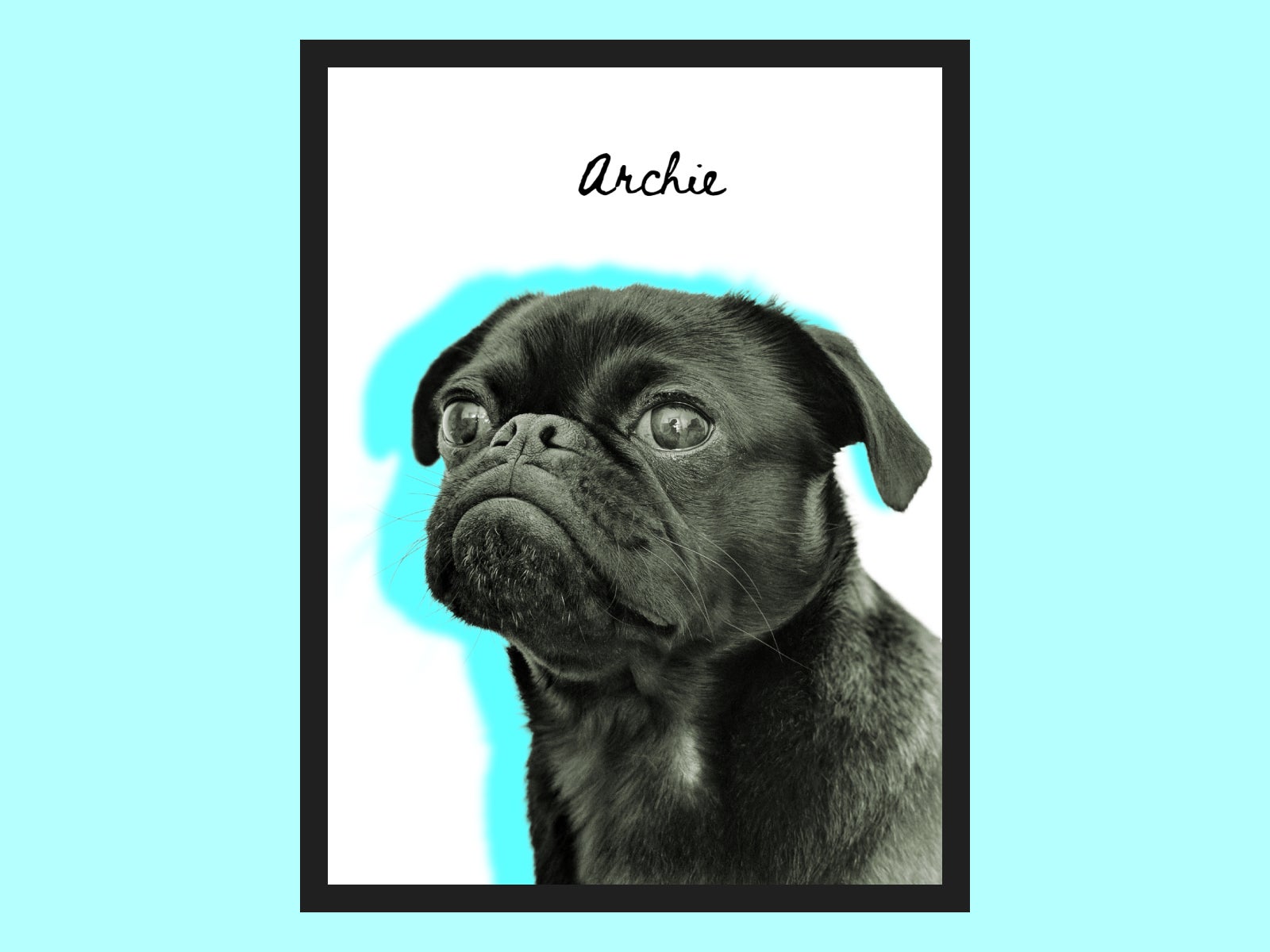 How to Create Colorful Drop Shadow Portraits | Learn BeFunky