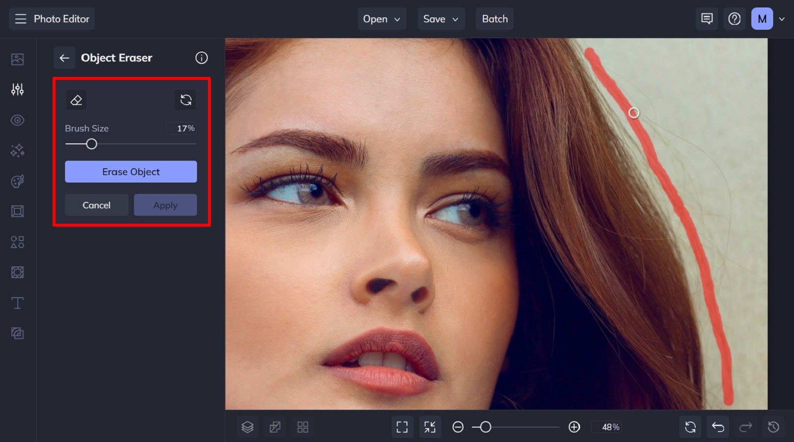 How to Remove Flyaways From Photos | Learn BeFunky