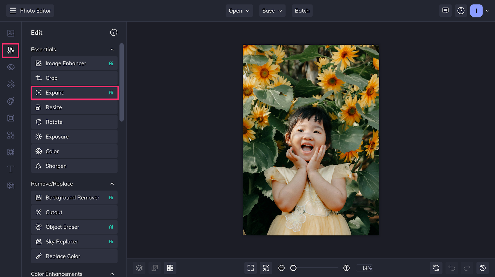 Reimagine Your Photos With AI-Powered Scene Expansion | Learn BeFunky