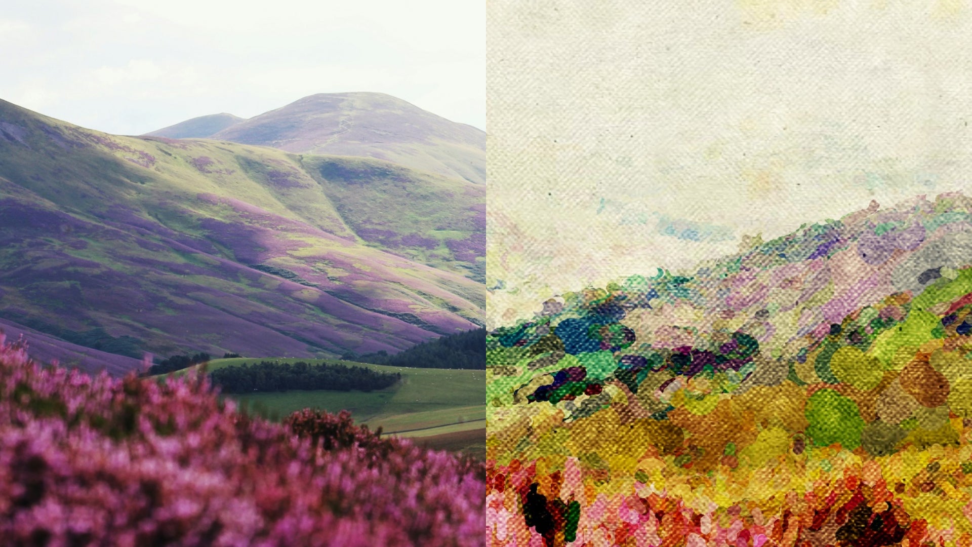 How to Turn a Landscape Photo Into an Abstract Painting | Learn BeFunky