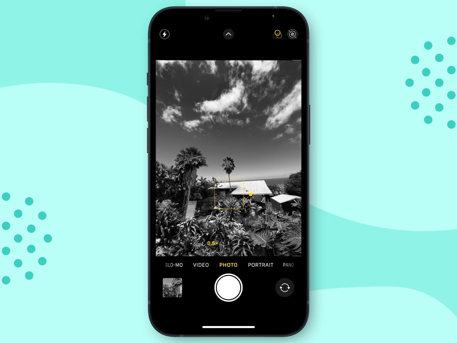 The Best iPhone Photography Tips for Better Photos | Learn BeFunky