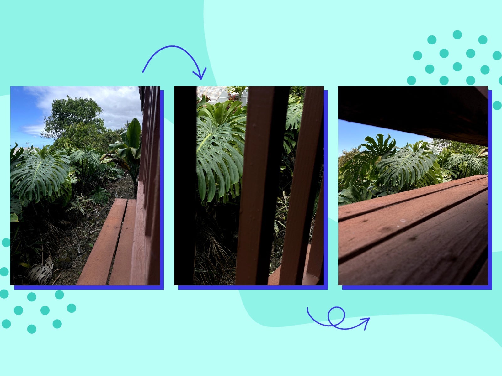 The Best iPhone Photography Tips for Better Photos | Learn BeFunky