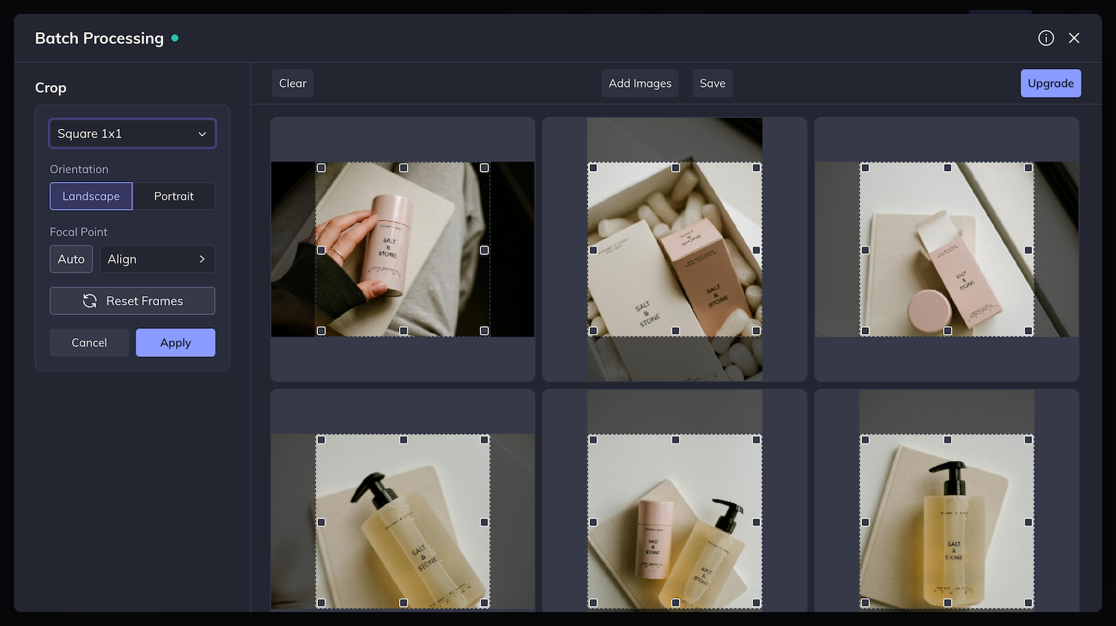 How to Batch Edit Photos for Your Small Business | Learn BeFunky