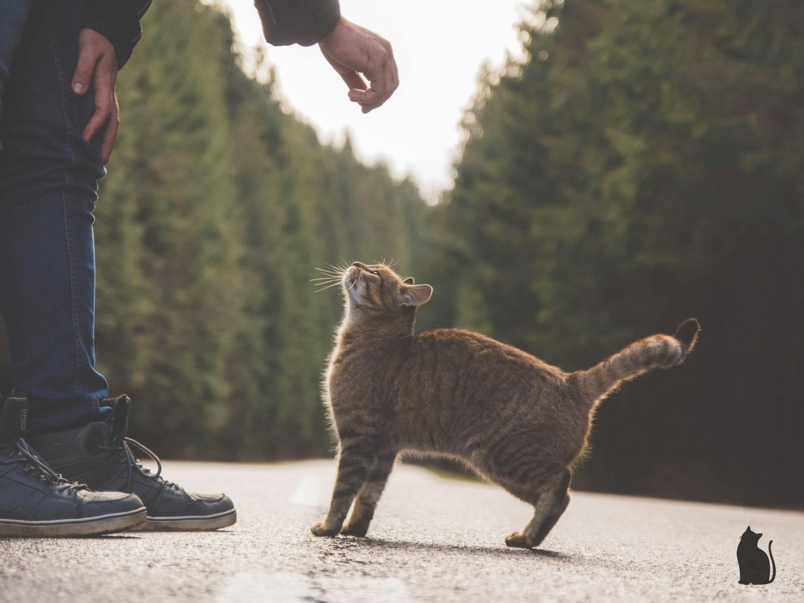 How to Batch Watermark Photos | Learn BeFunky