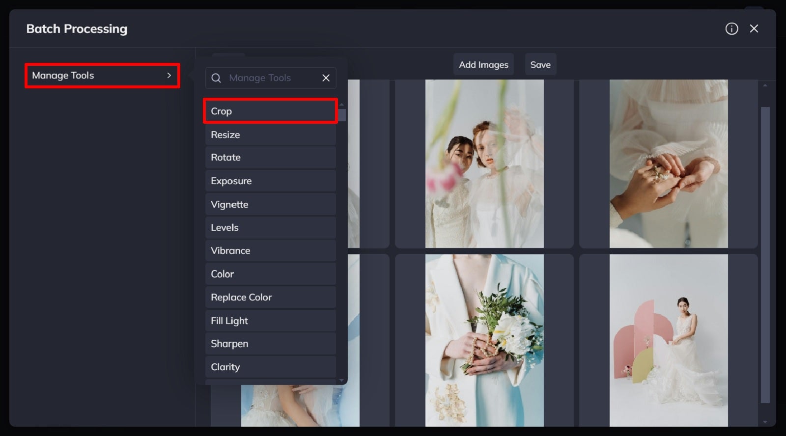 How to Batch Crop Photos in Seconds | Learn BeFunky