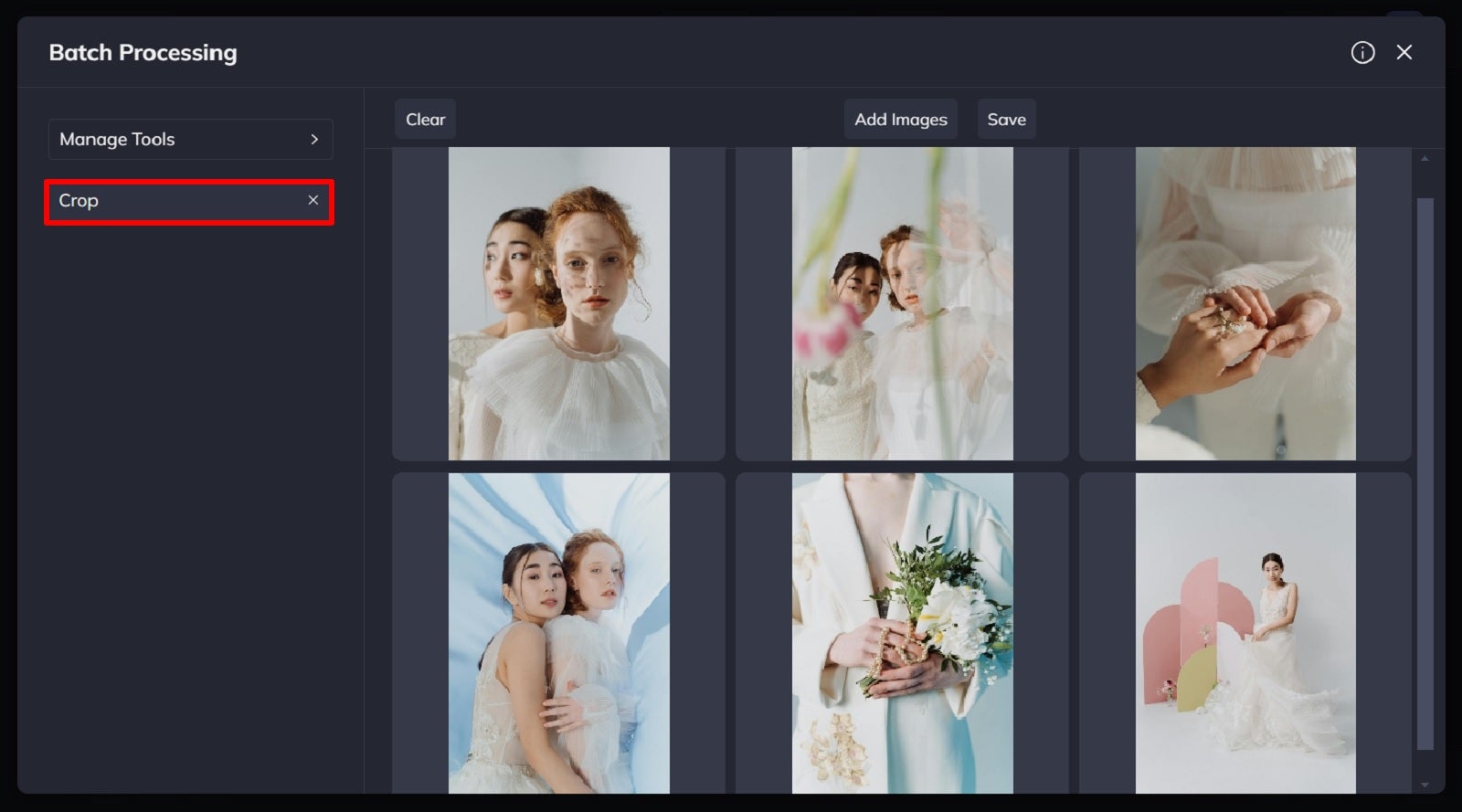 How to Batch Crop Photos in Seconds | Learn BeFunky