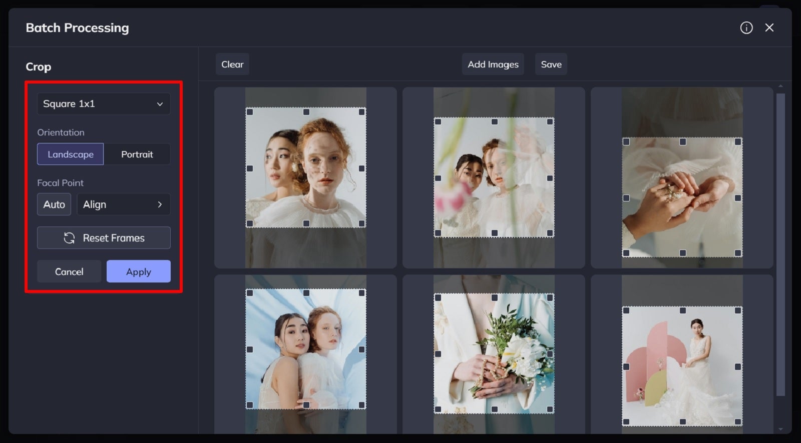 How to Batch Crop Photos in Seconds | Learn BeFunky