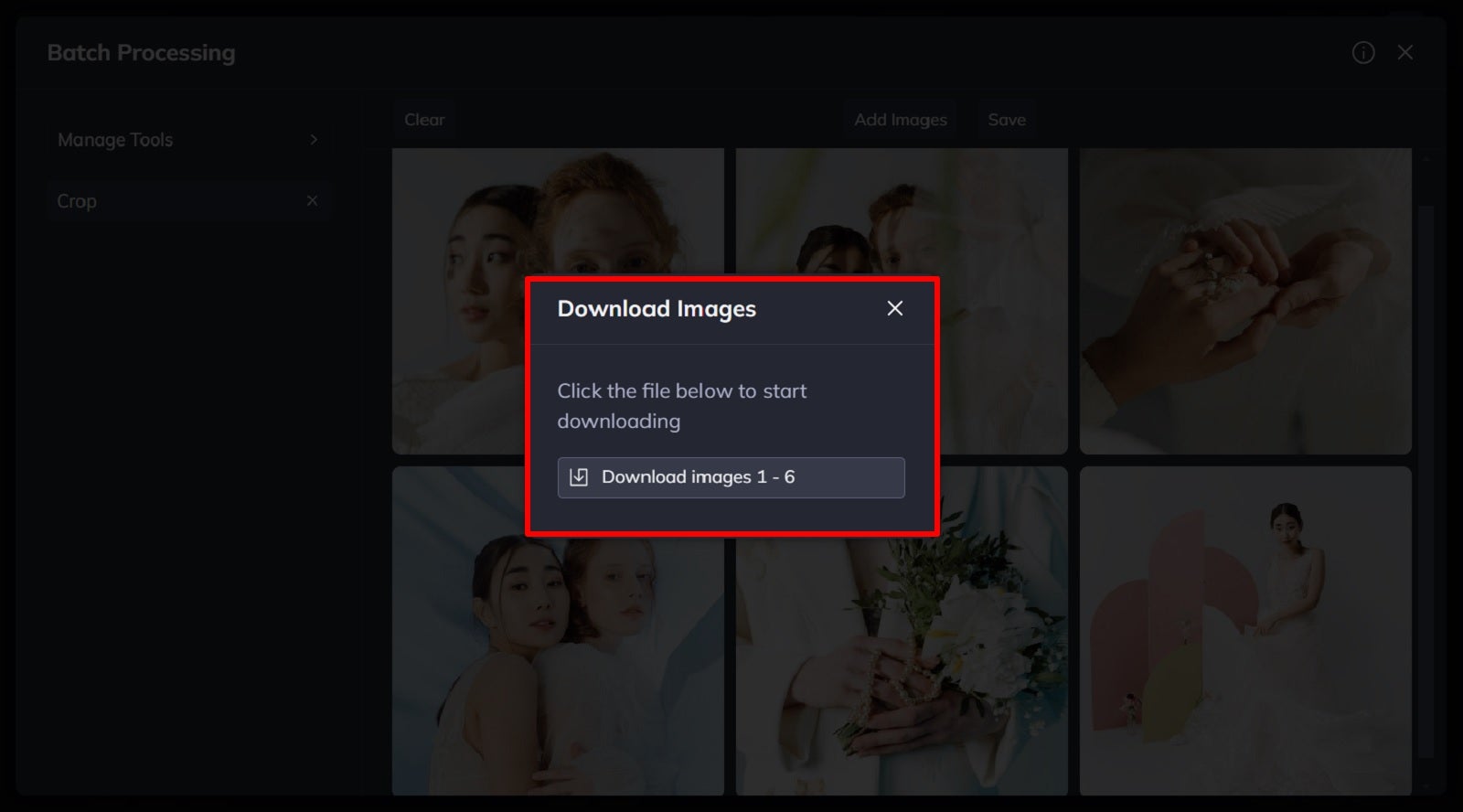 How to Batch Crop Photos in Seconds | Learn BeFunky