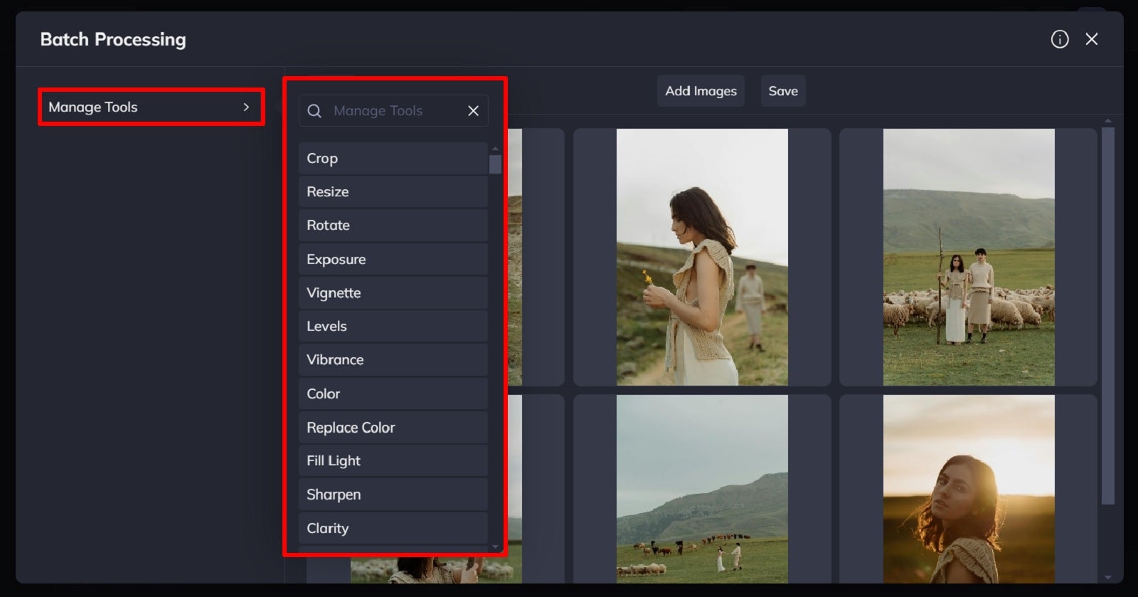How to Batch Resize Photos for Social Media | Learn BeFunky