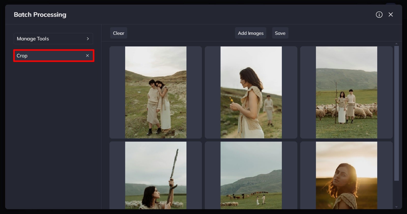 How to Batch Resize Photos for Social Media | Learn BeFunky