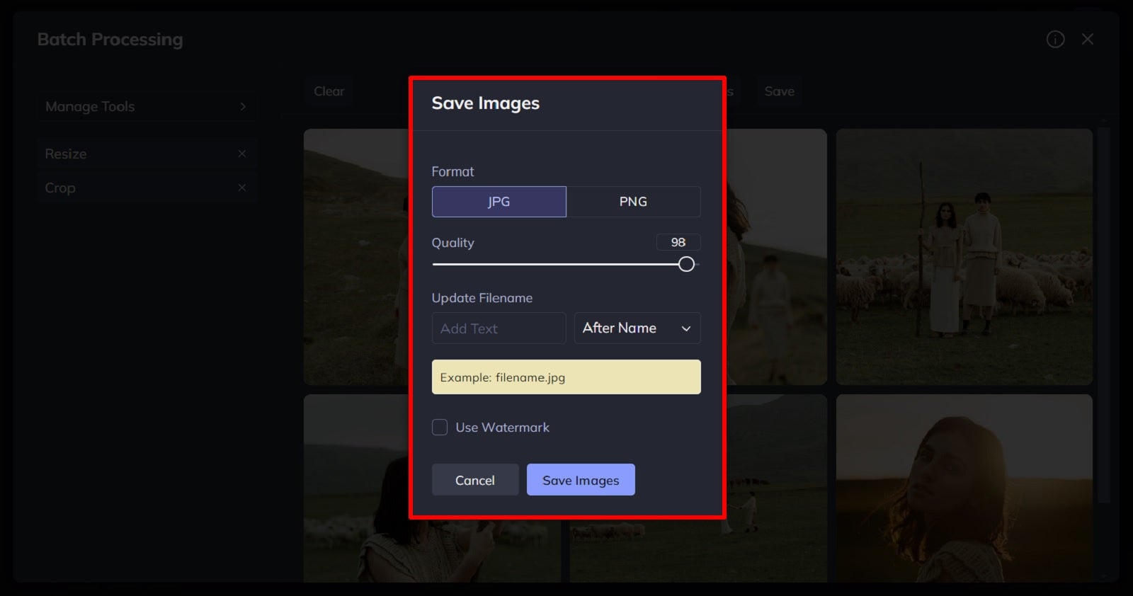 How to Batch Resize Photos for Social Media | Learn BeFunky