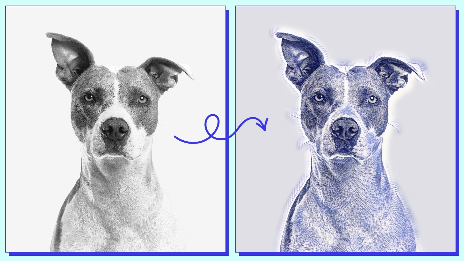 How to Turn a Portrait of My Dog Into a Drawing | Learn BeFunky