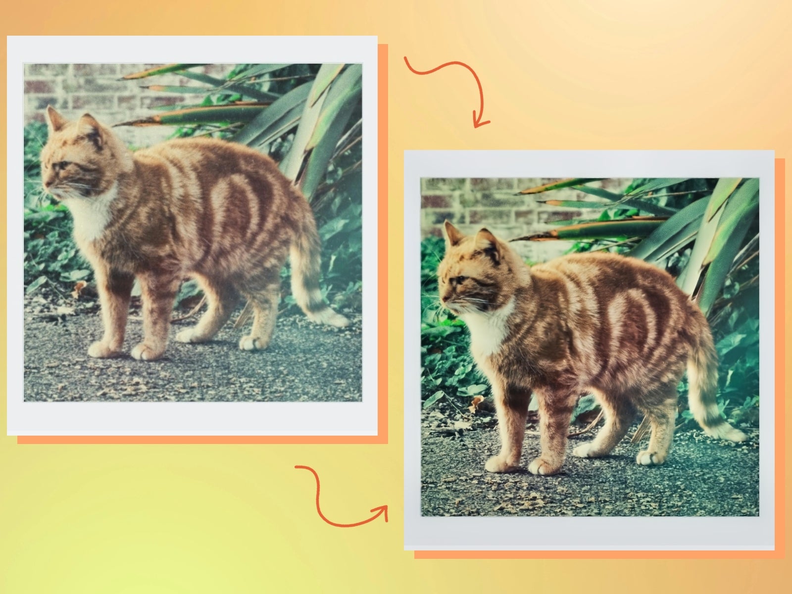 How to Restore Damaged Old Photos | Learn BeFunky