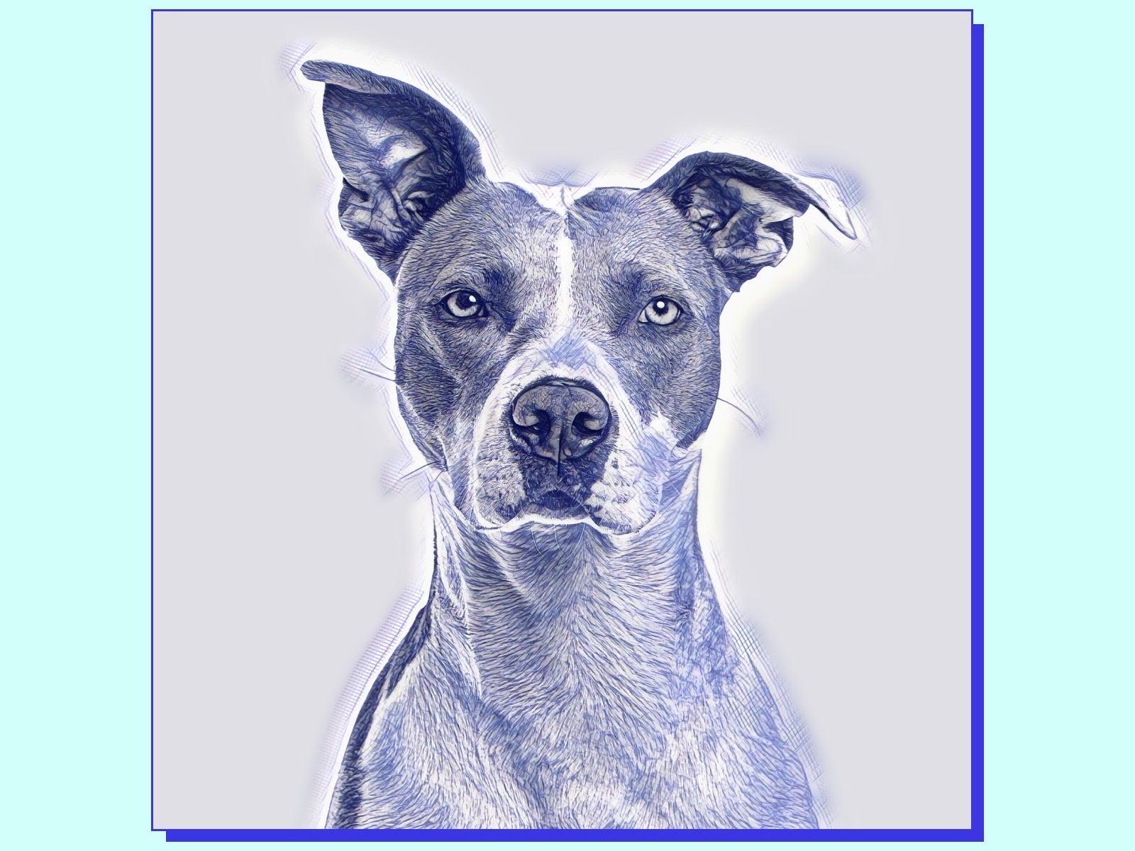 How to Turn a Portrait of My Dog Into a Drawing | Learn BeFunky