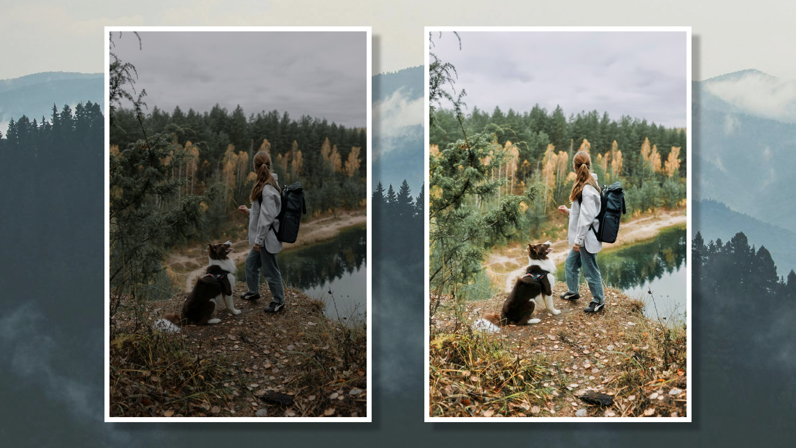 Post Better Blog Photos With the Batch Photo Editor | Learn BeFunky