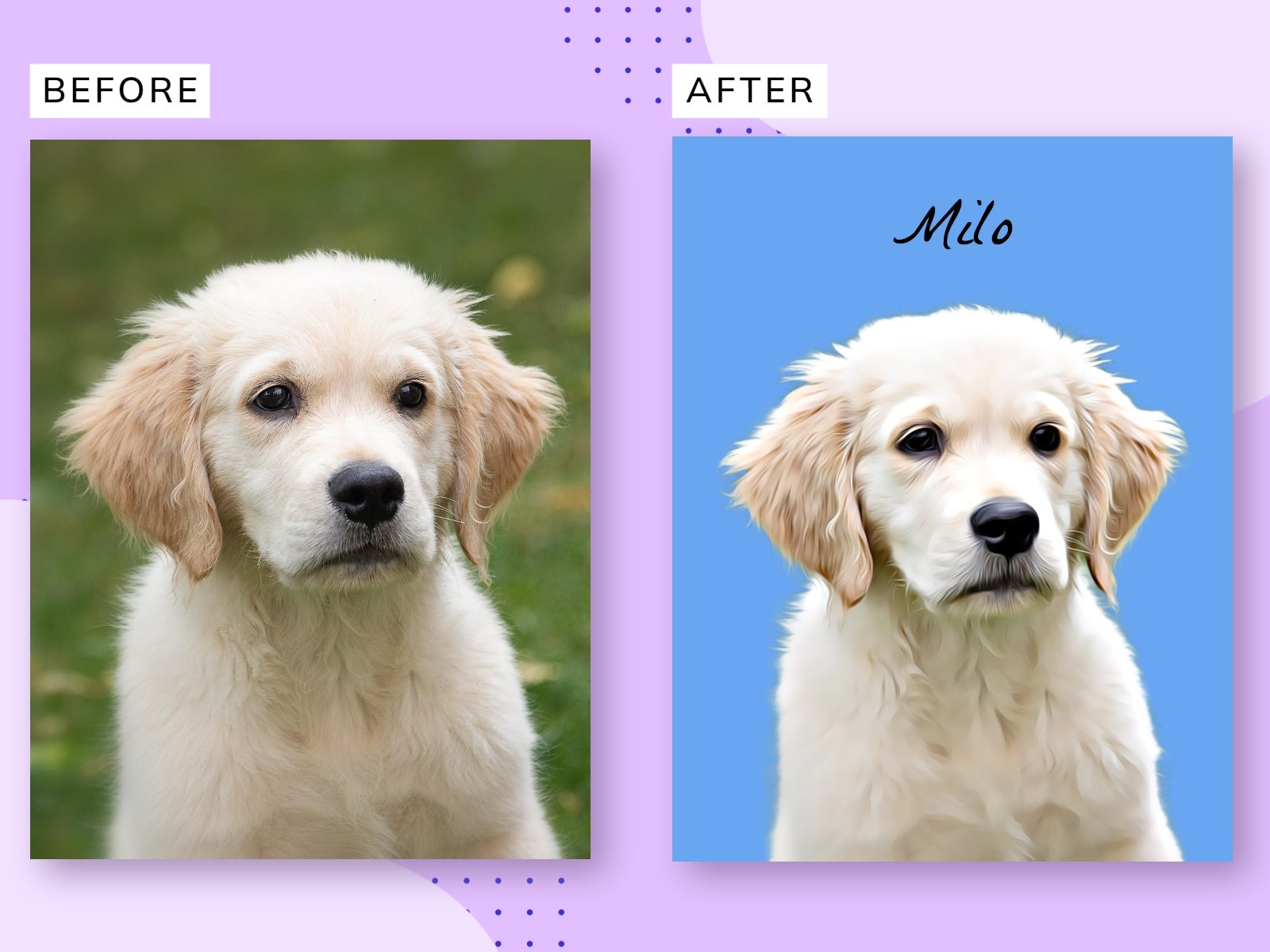 How to Make a Digital Pet Portrait | Learn BeFunky