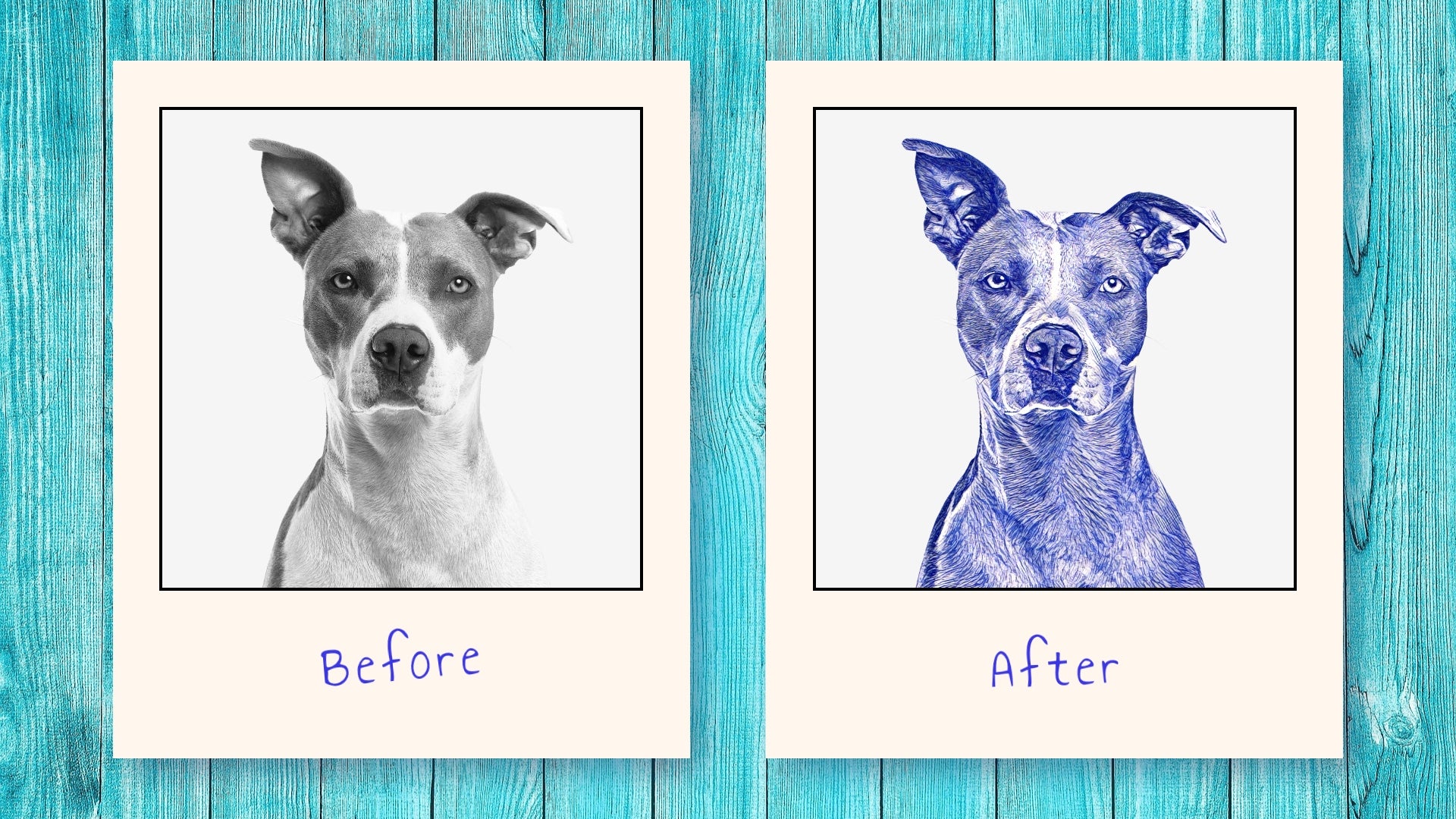 How to Turn a Portrait of My Dog Into a Drawing | Learn BeFunky