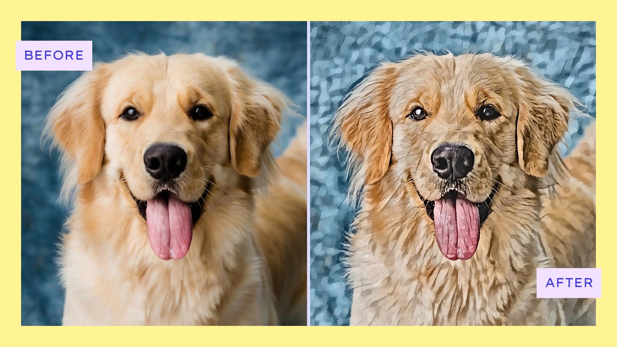 How to Make a Digital Pet Portrait | Learn BeFunky