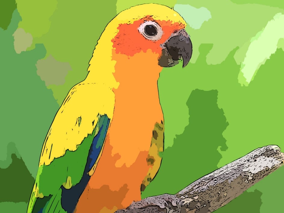 Cartoonize Your Pet Photos With BeFunky | Learn BeFunky