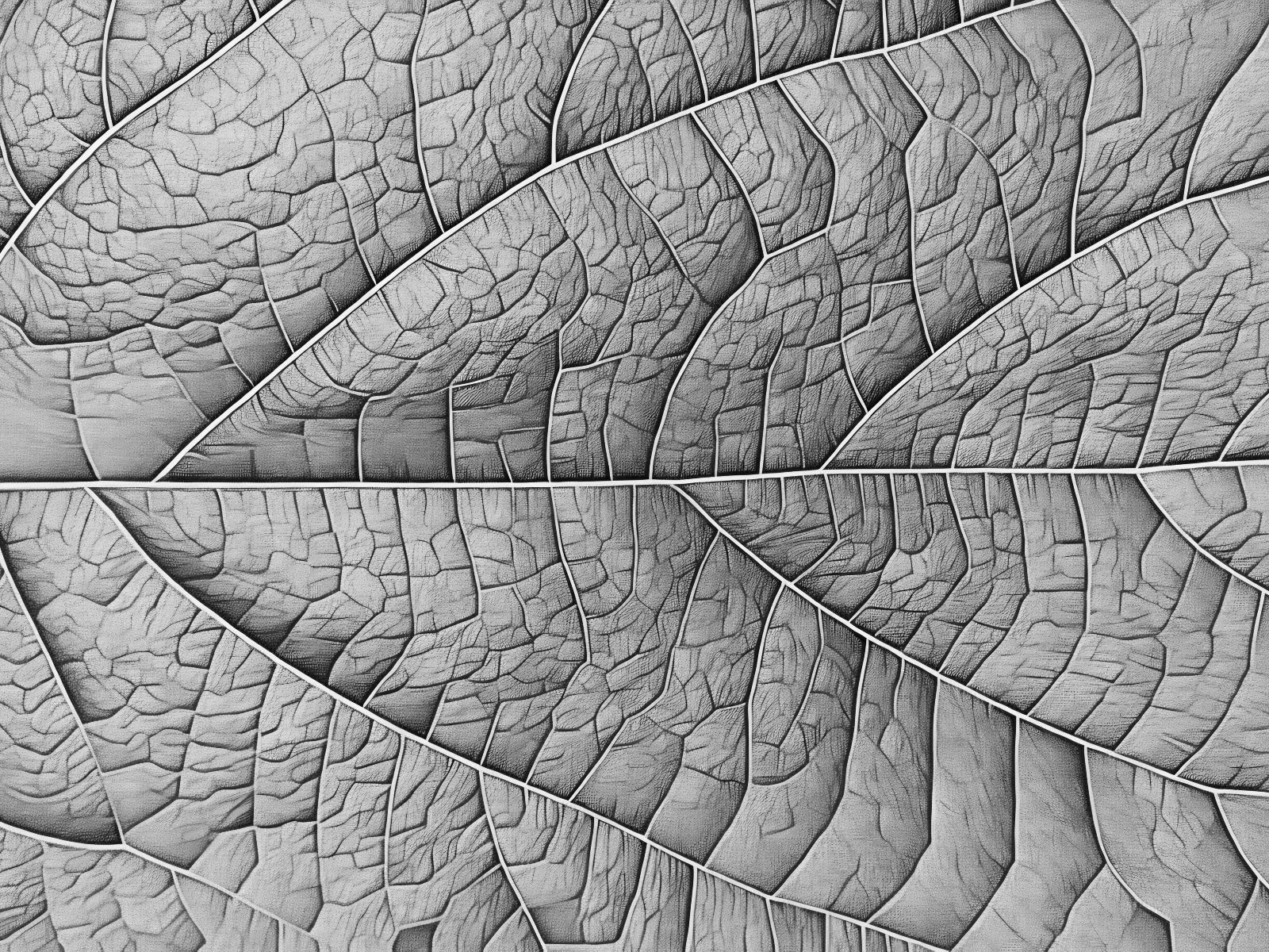 Turn Your Photo Into a Charcoal Drawing With Sketch Effects | Learn BeFunky