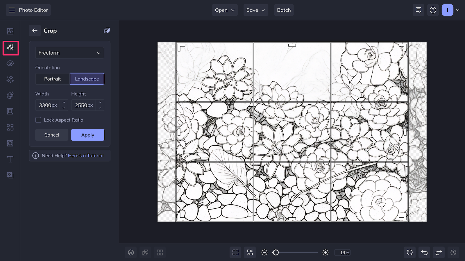 Create Your Own Adult Coloring Book | Learn BeFunky