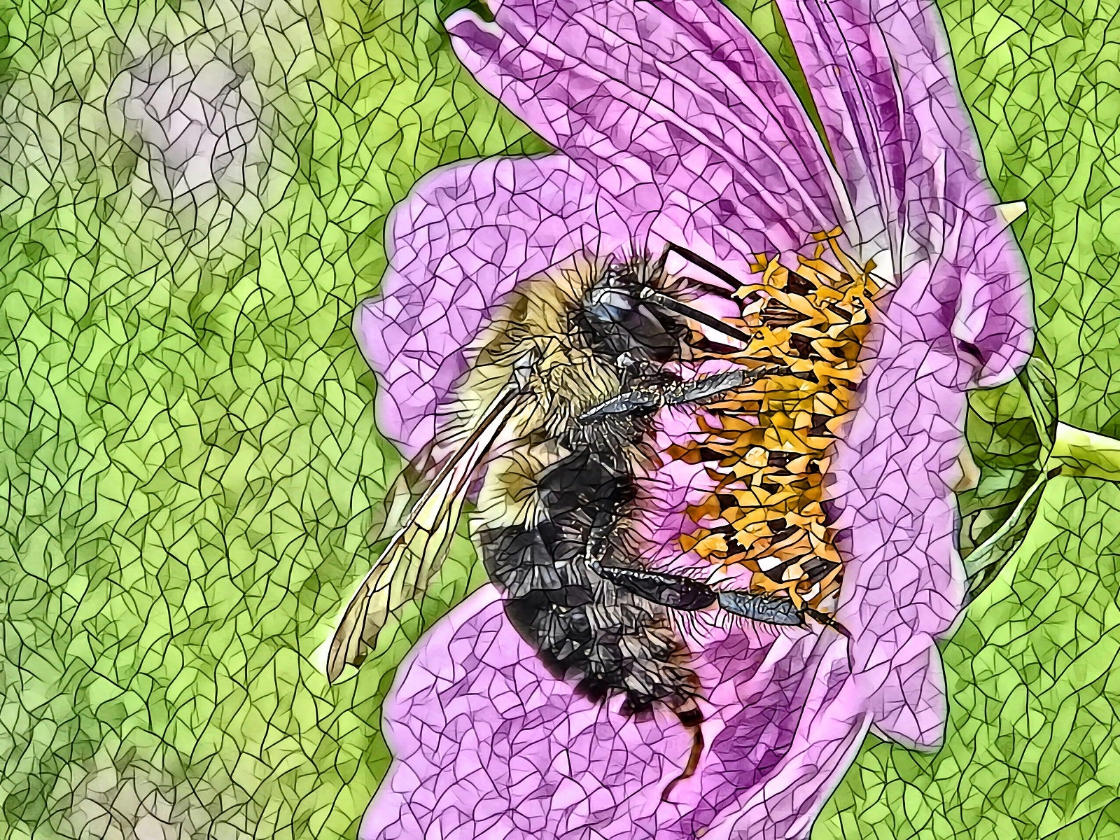 Learn How to Turn Any Photo Into a Digital Mosaic | Learn BeFunky