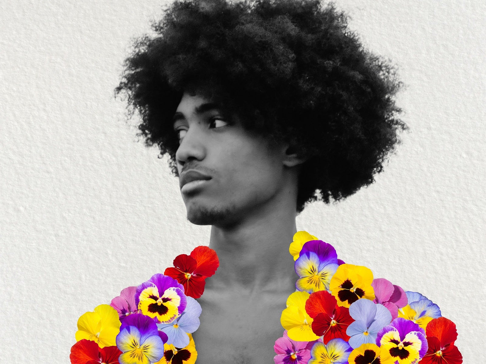 How to Create a Mixed Media Collage | Learn BeFunky