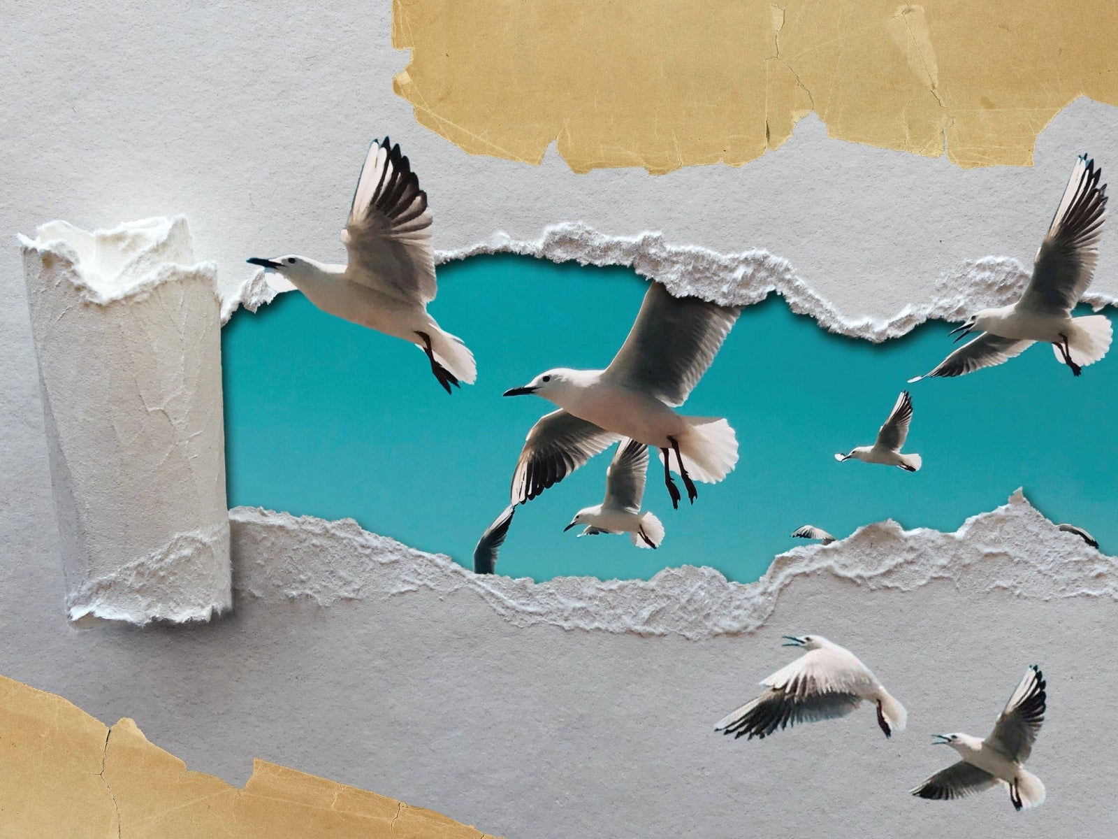 How to Create a Mixed Media Collage | Learn BeFunky