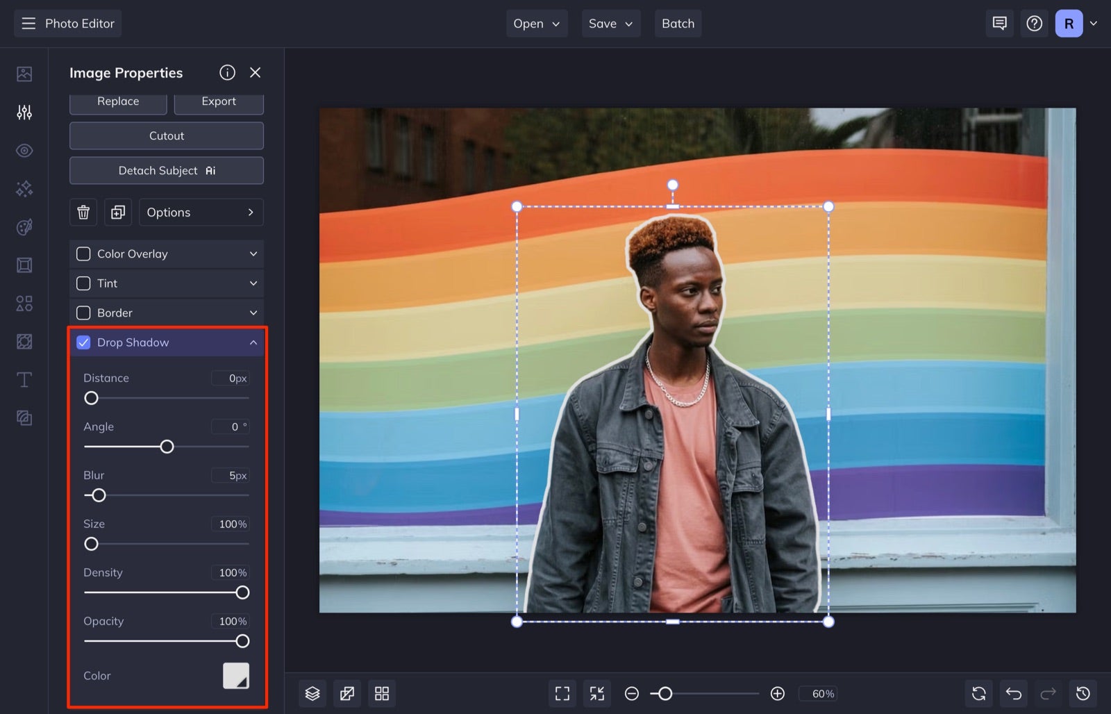 How to Add an Outline to Any Image | Learn BeFunky