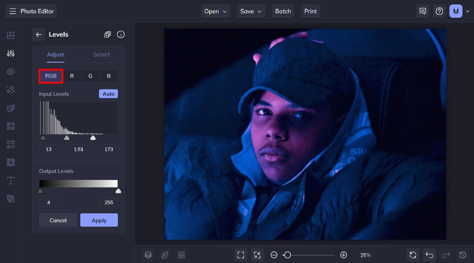 How to Brighten Photos With the Levels Tool | Learn BeFunky