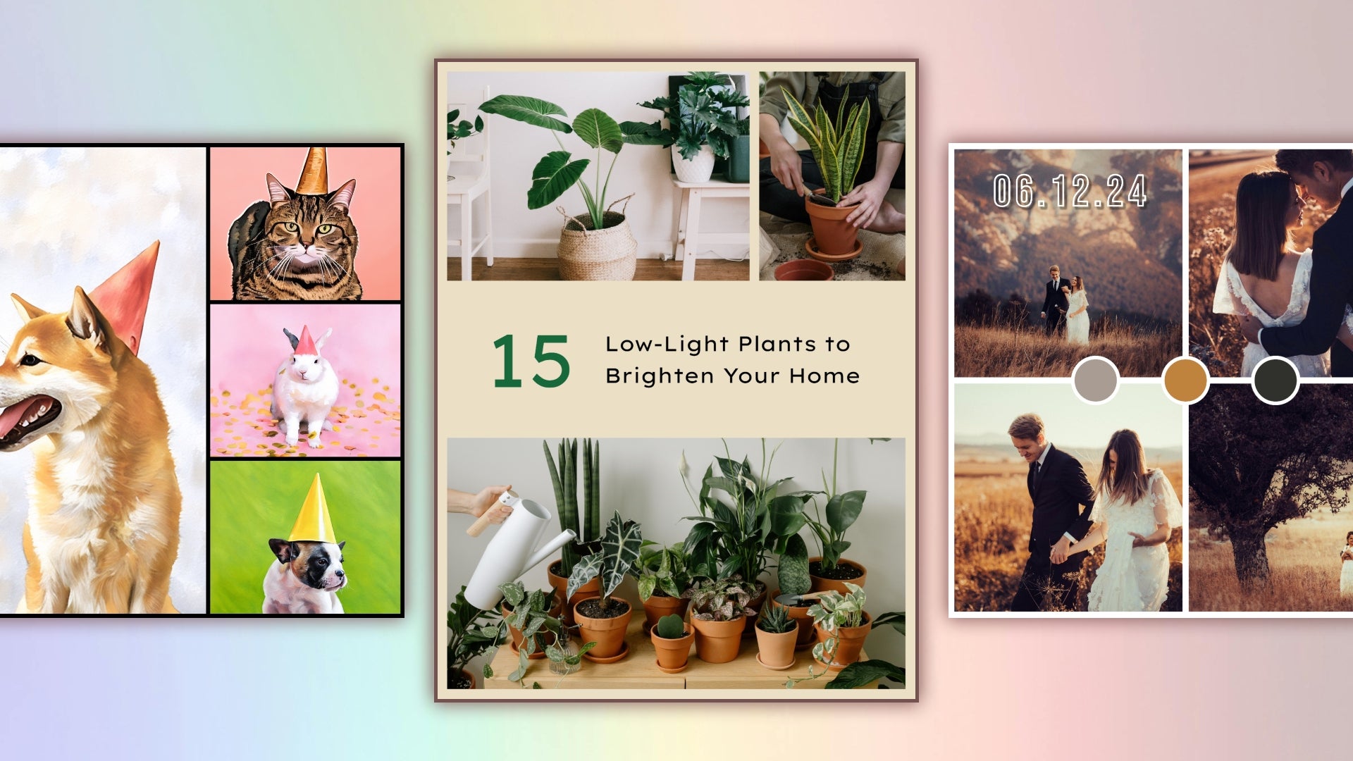 How to Create Photo Collages for Social Media | Learn BeFunky