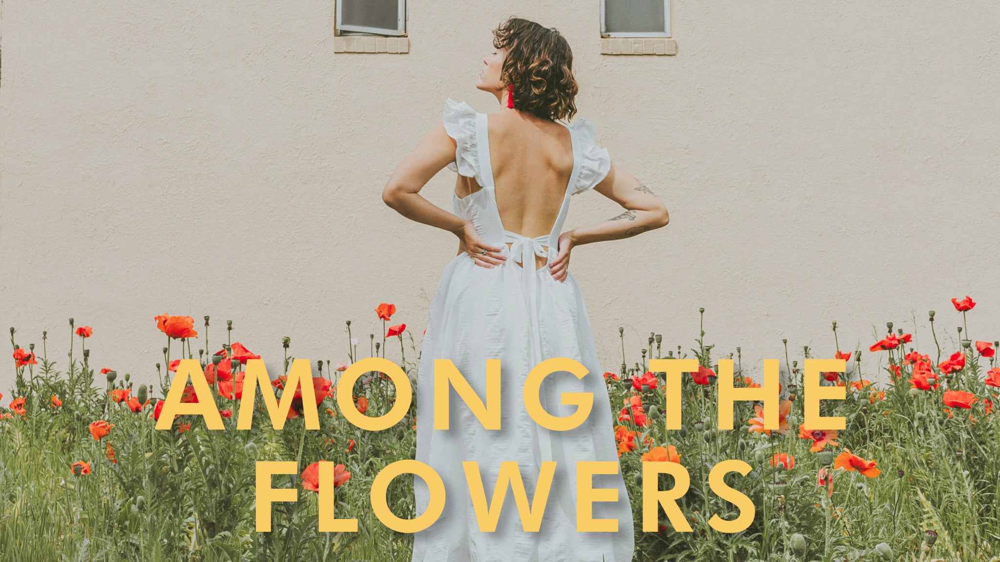 Our Top 4 Free Wes Anderson-Inspired Fonts | Learn BeFunky