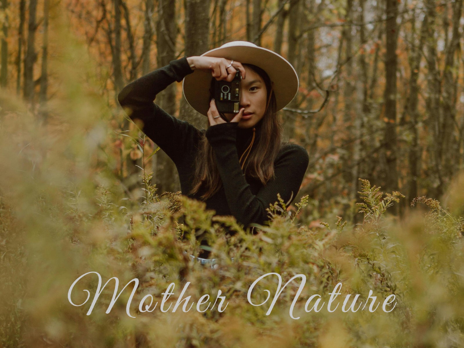 Our Top 4 Free Wes Anderson-Inspired Fonts | Learn BeFunky