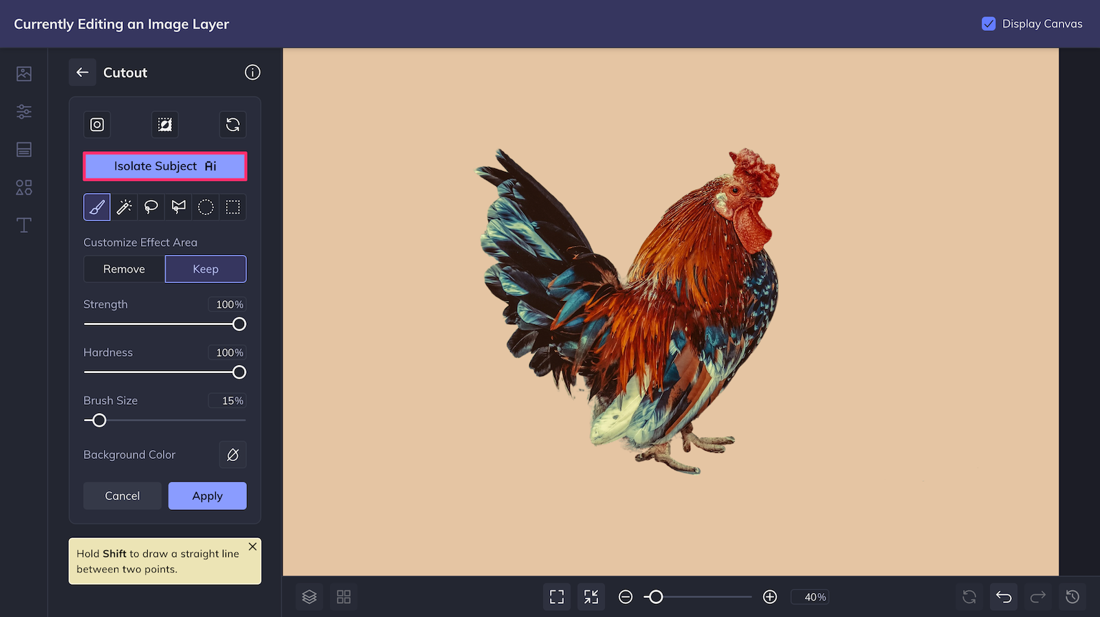 How to Create a Stunning eBook Cover | Learn BeFunky